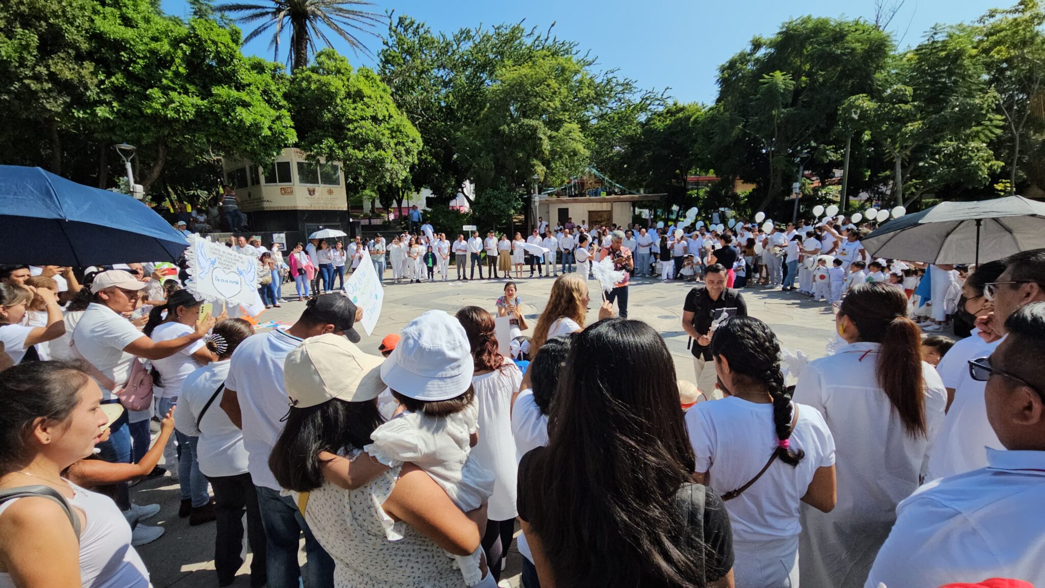 Suspenden clases en 5 escuelas de la UAGro en Costa Grande por ...